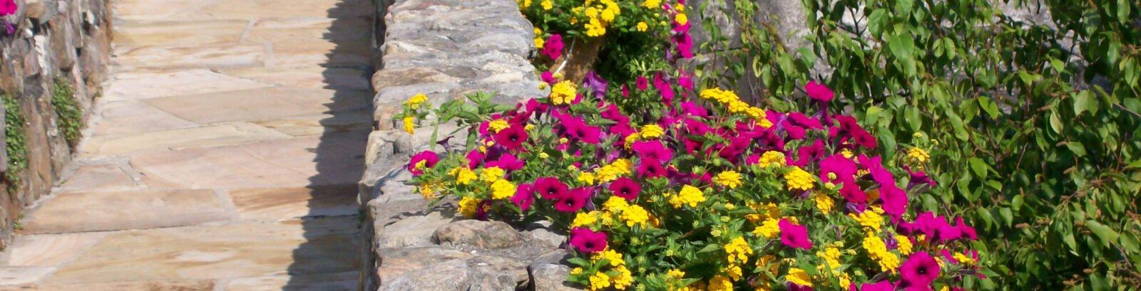 Explore the Gardens - Rock City