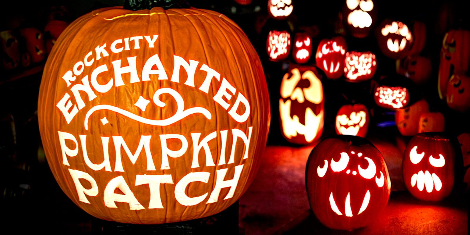 Enchanted Pumpkin Patch - Rock City
