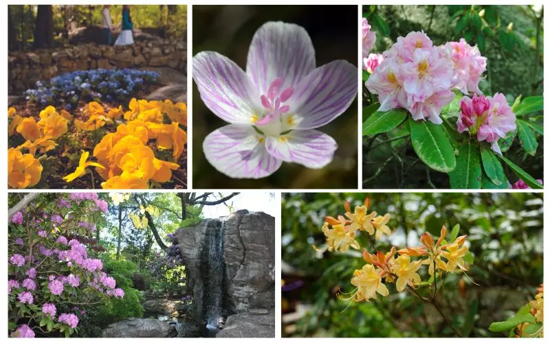 Spring At Rock City - Rock City